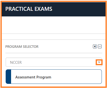 Submitting a practical exam